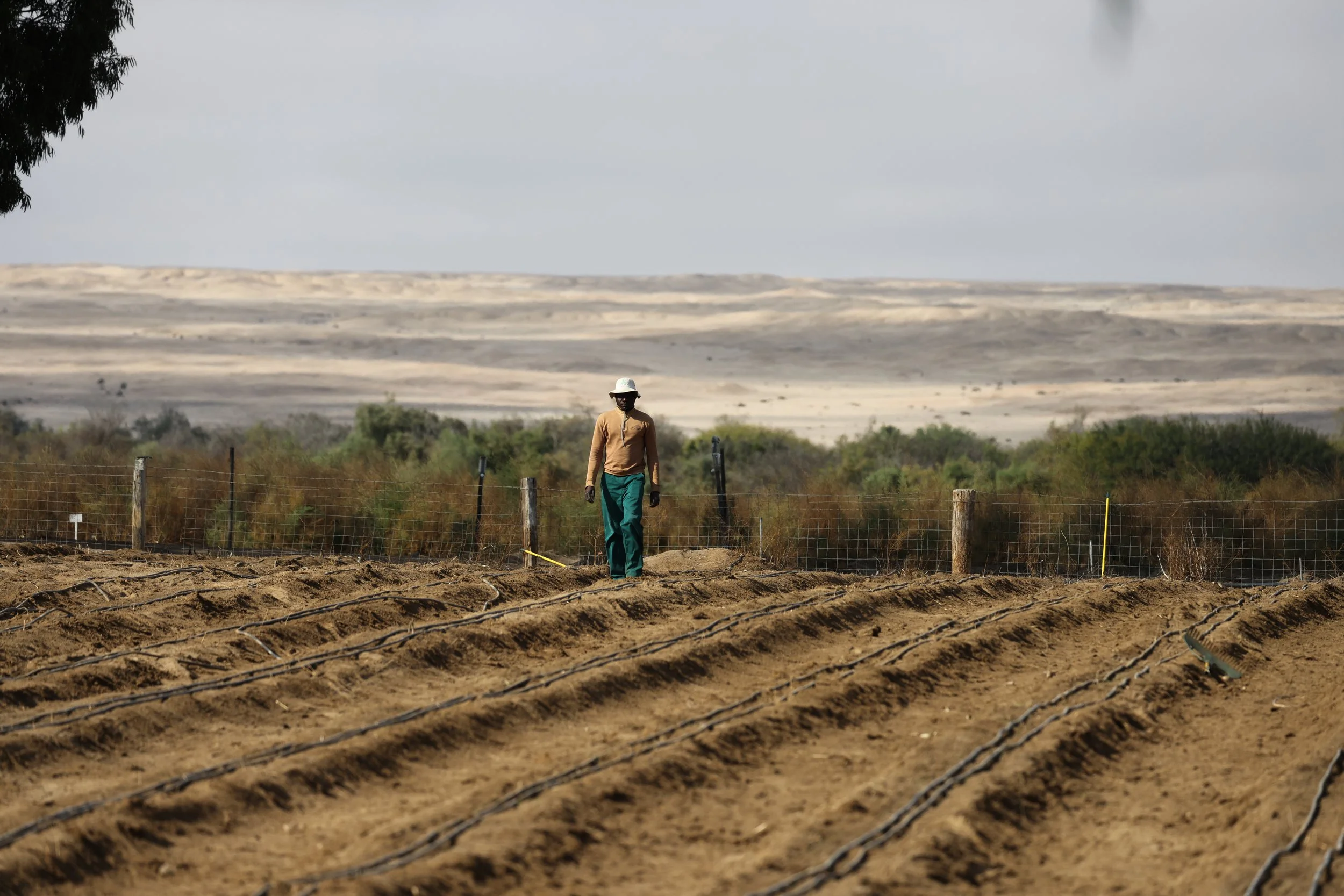 Our Products — AvaGro