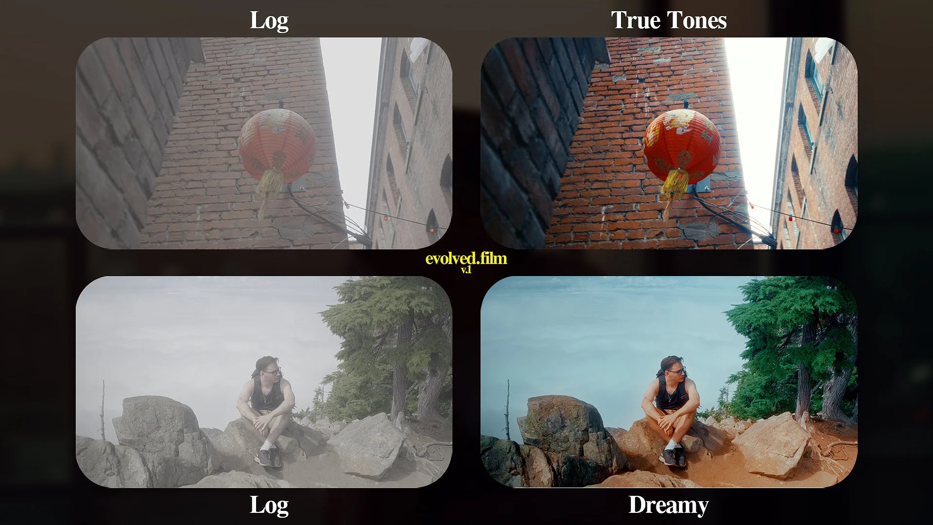 Always Lab - Color Grading Profesional LUTs y Presets para editores y creadores