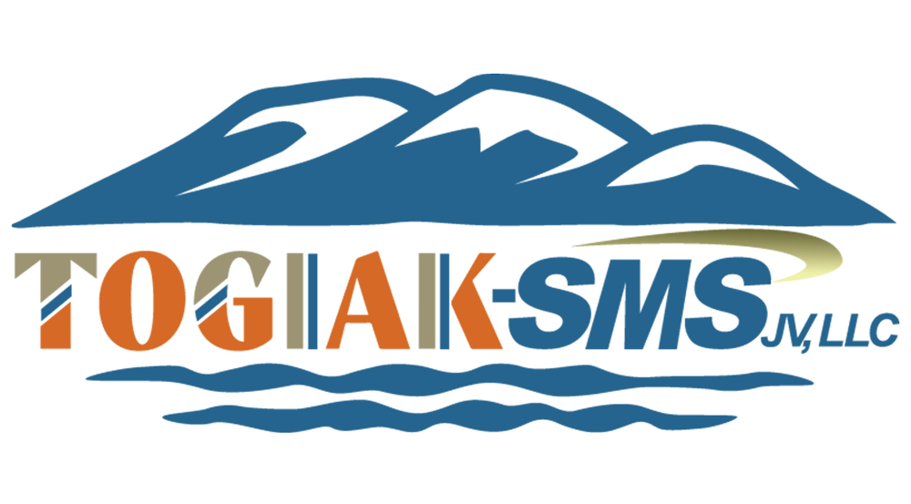 Togiak Government Services Group, LLC