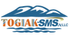 Togiak Government Services Group, LLC