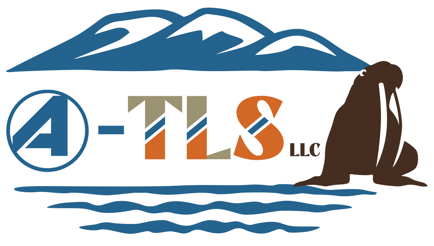 Togiak Government Services Group, LLC