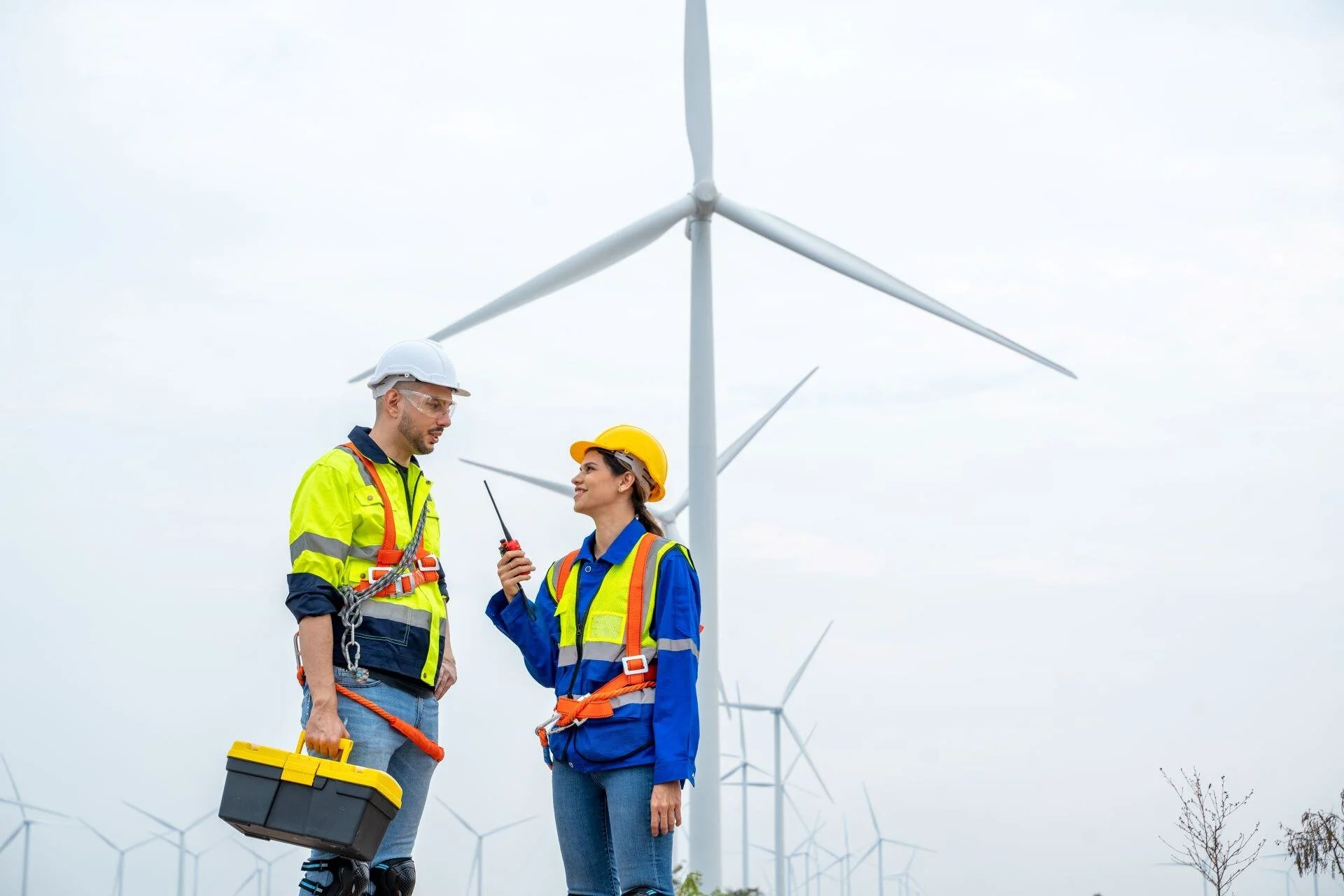 The Wind Turbine Technician Career: Everything You Need to Know — Timpl