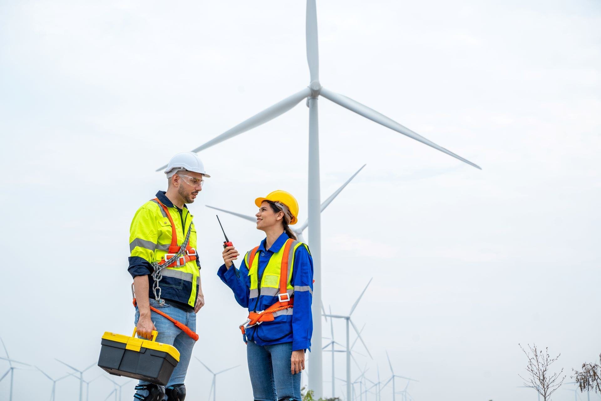 The Wind Turbine Technician Career: Everything You Need to Know — Timpl