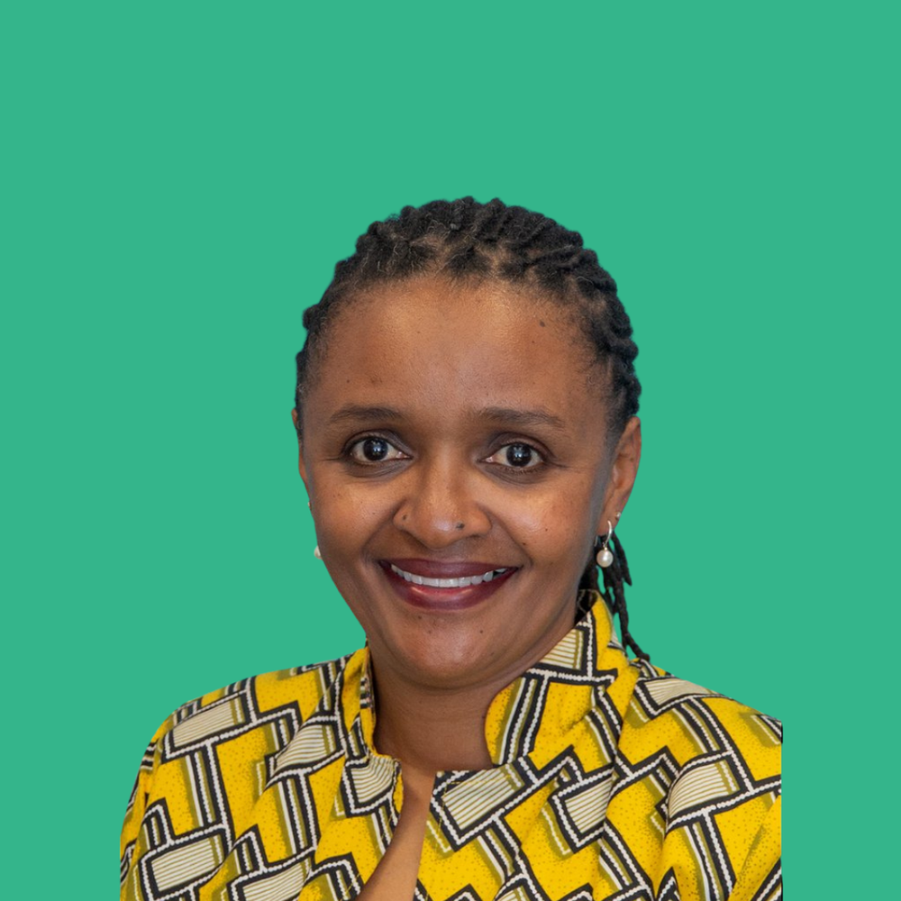 Our Board — River Nile School