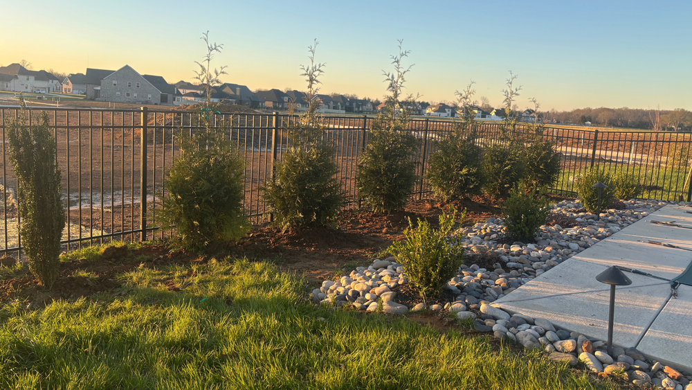 Evergreen Landscaping | Residential and Commercial Landscape Company in ...