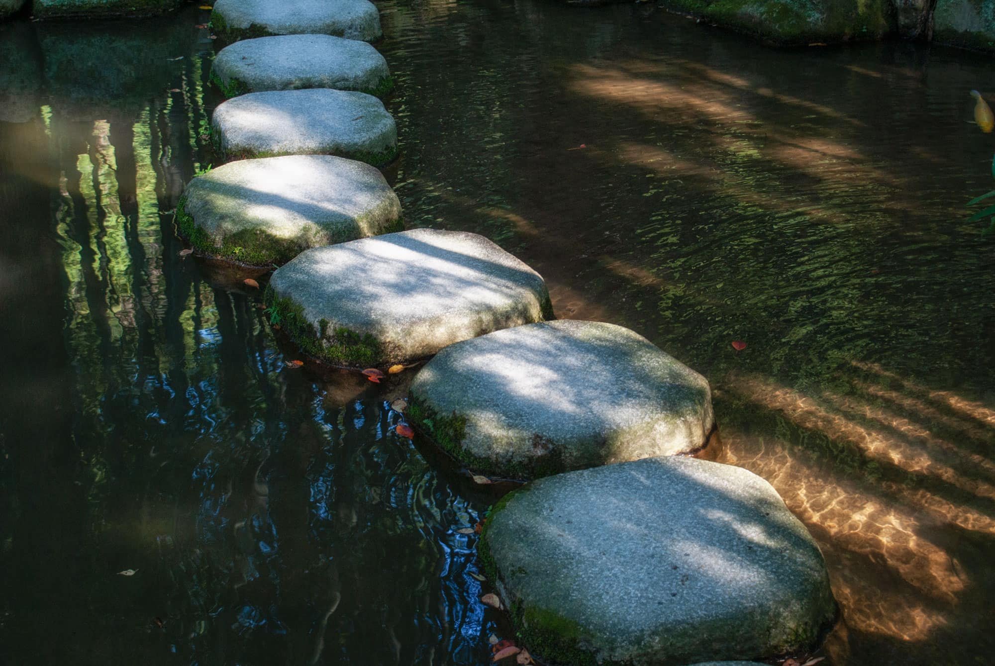 Understanding Japanese Gardens