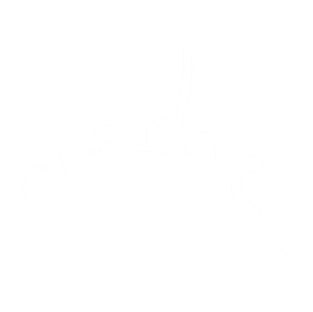 Madre | Raleigh Tapas Dining