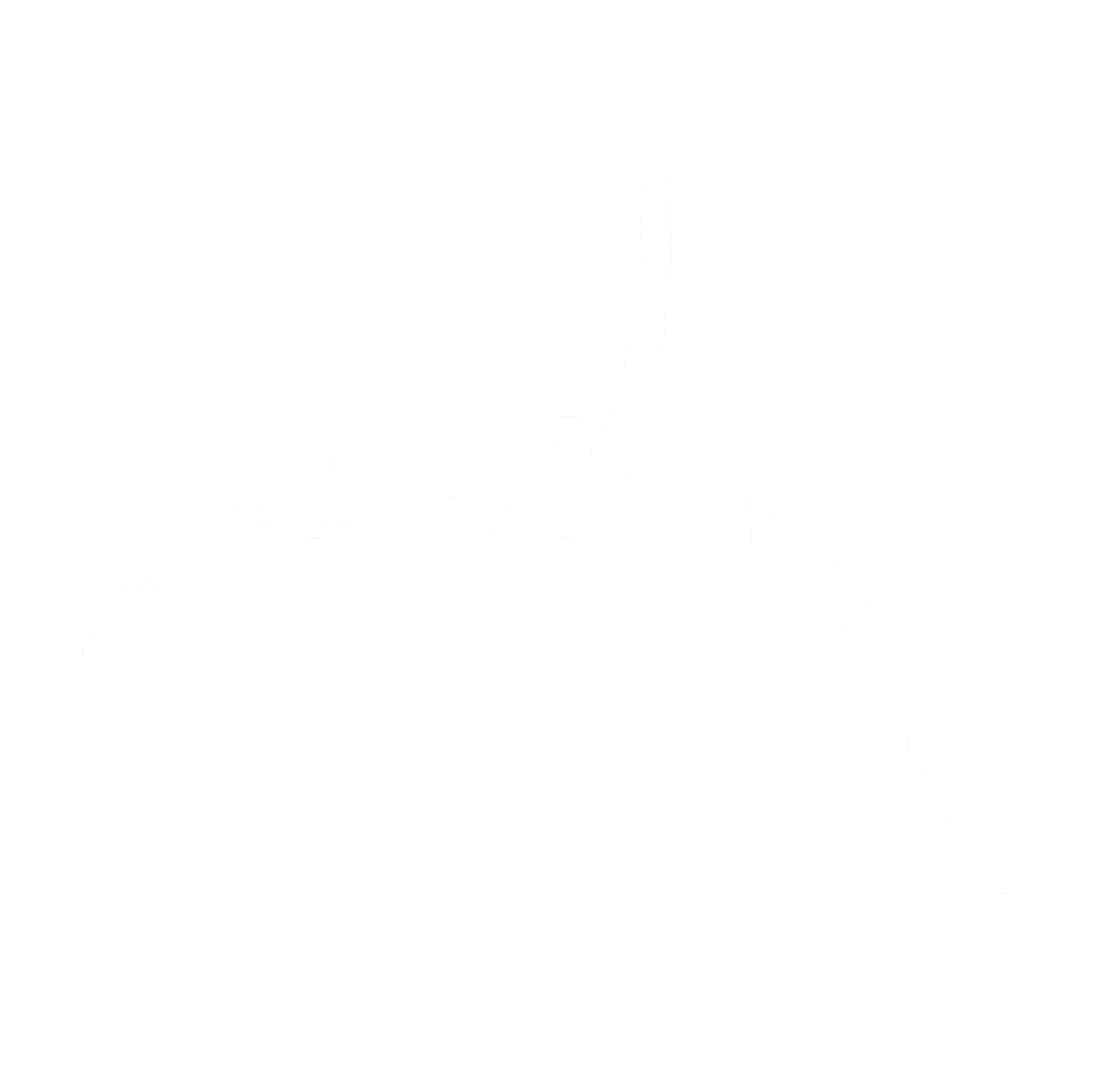 Madre | Raleigh Tapas Dining