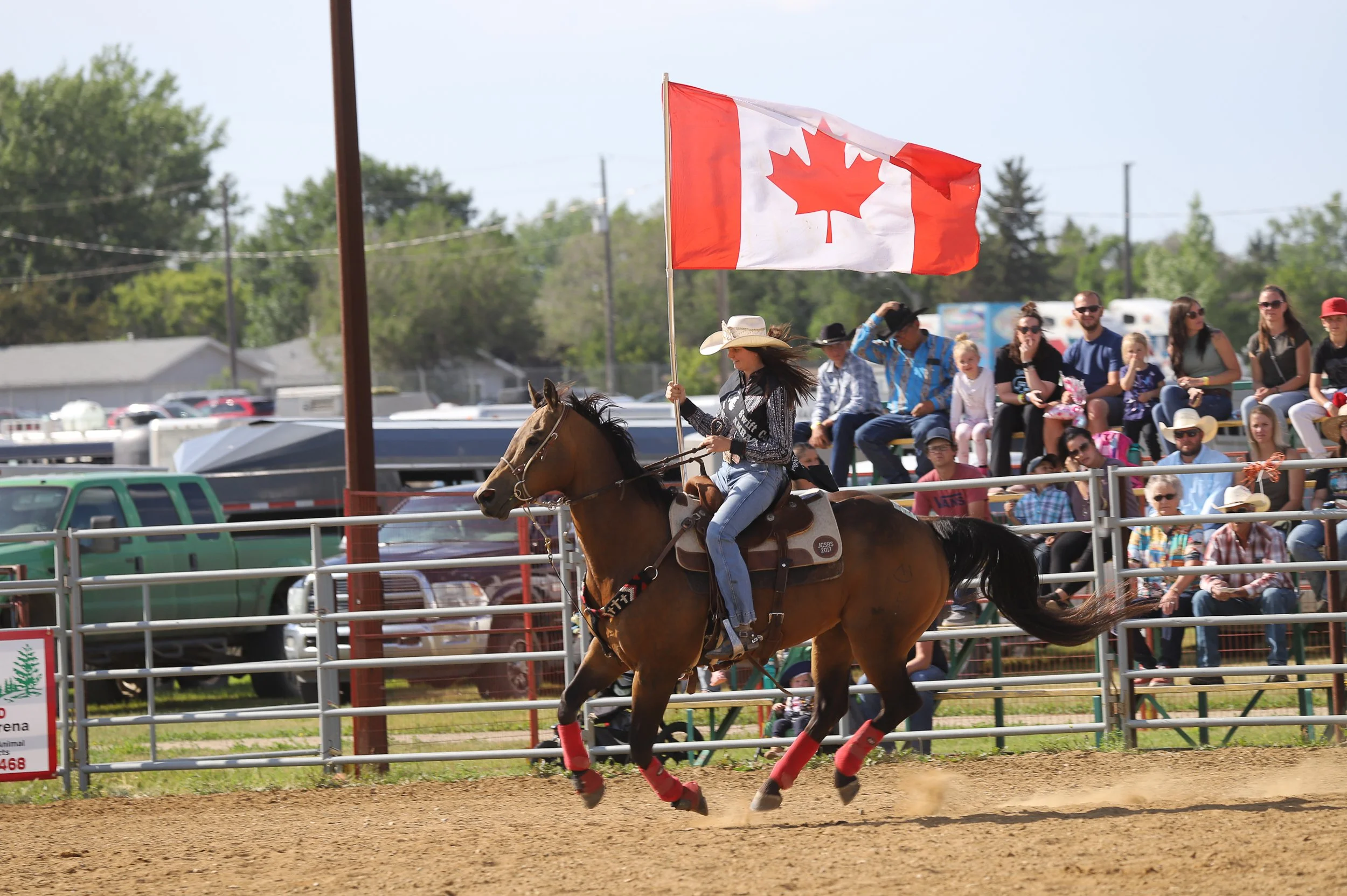 CCA Rodeo — Swift Current Ag & Ex