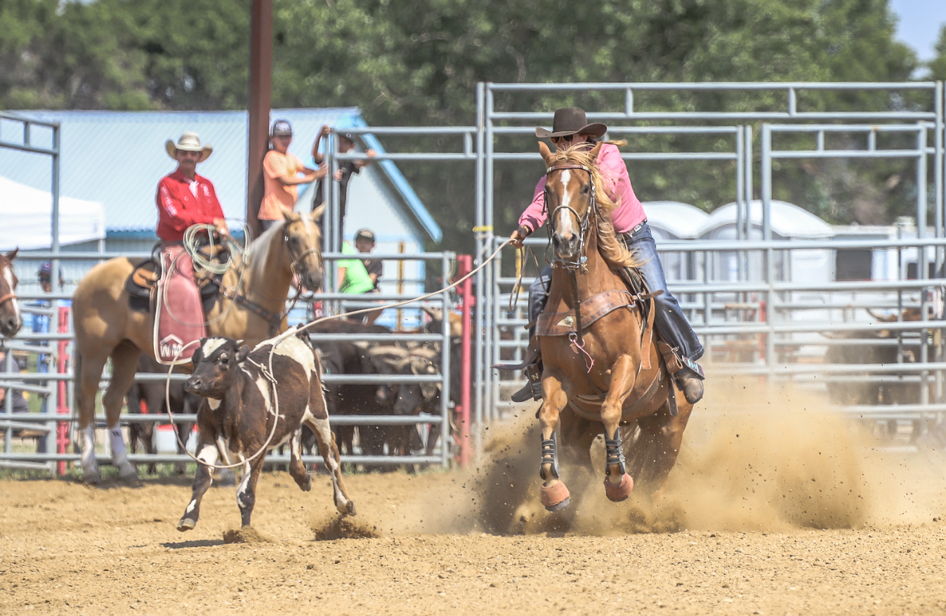 CCA Rodeo — Swift Current Ag & Ex