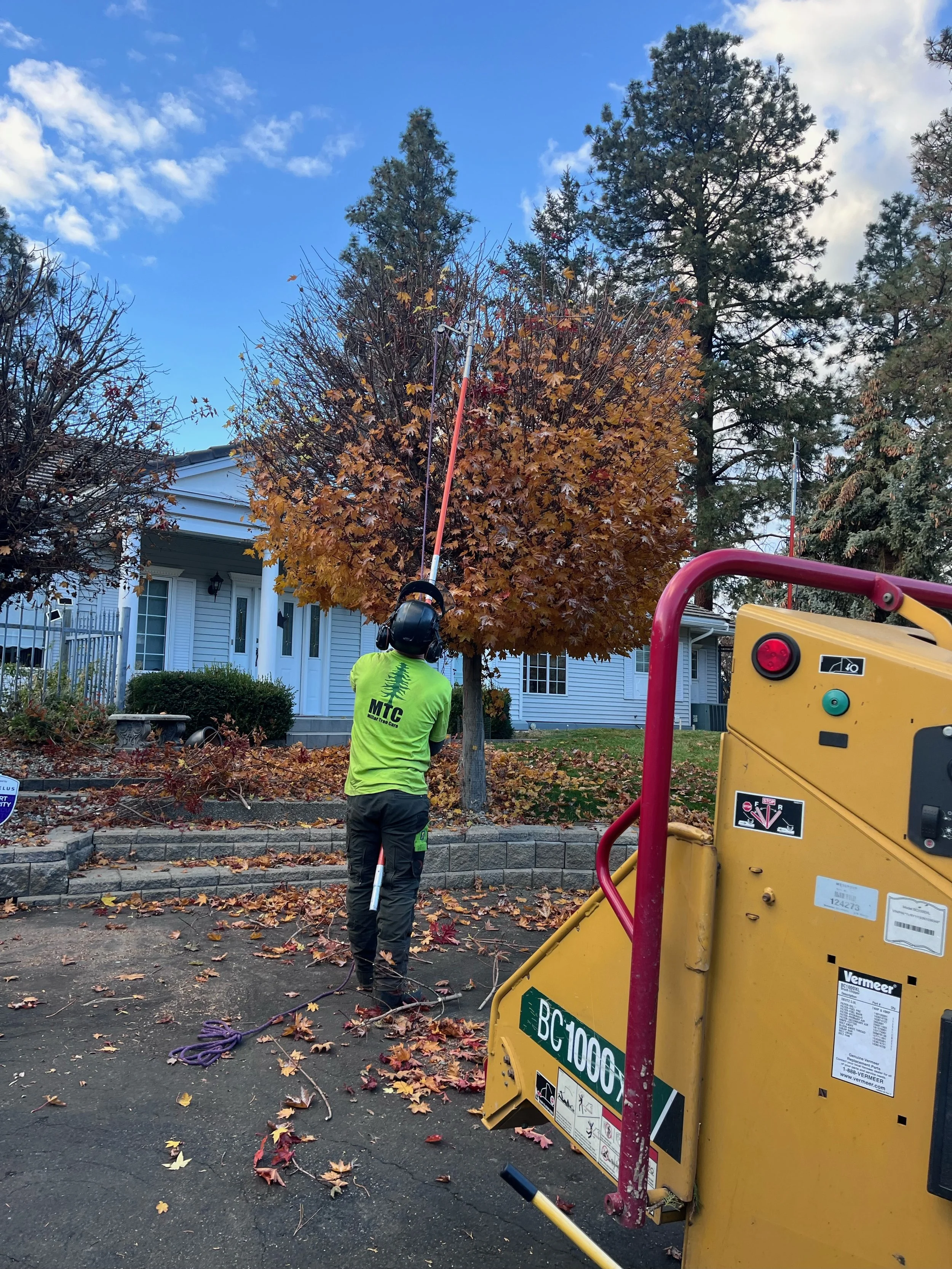 Gallery — Millar Tree Care