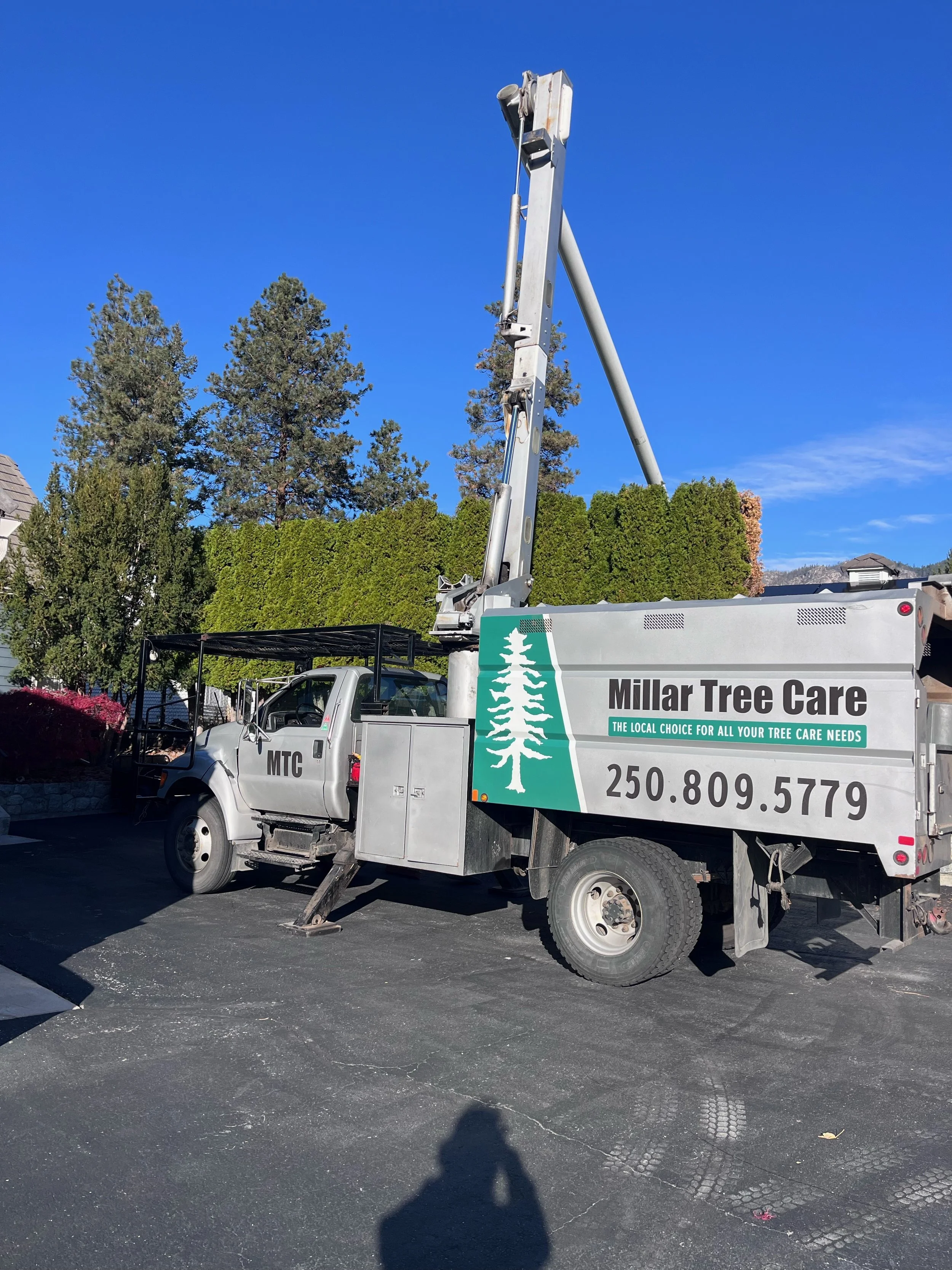 Gallery — Millar Tree Care