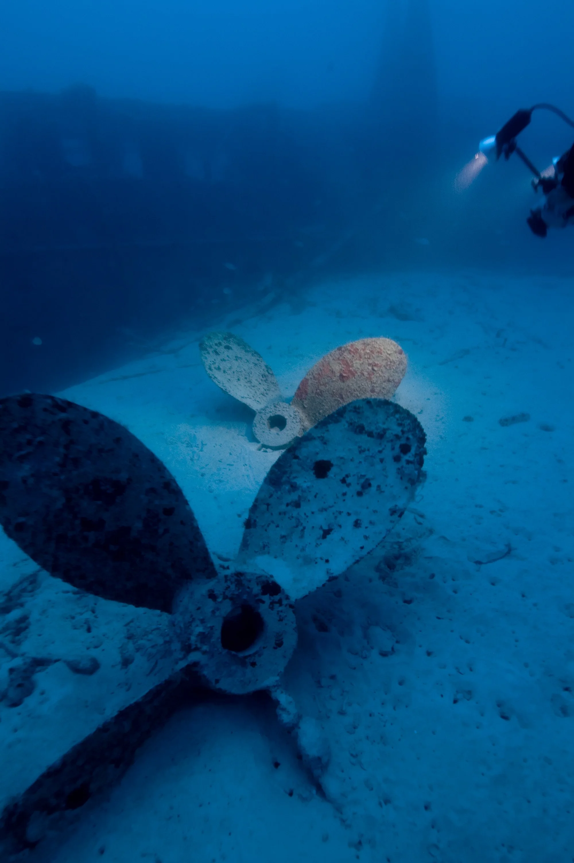 HMCS Canada Expedition 2025