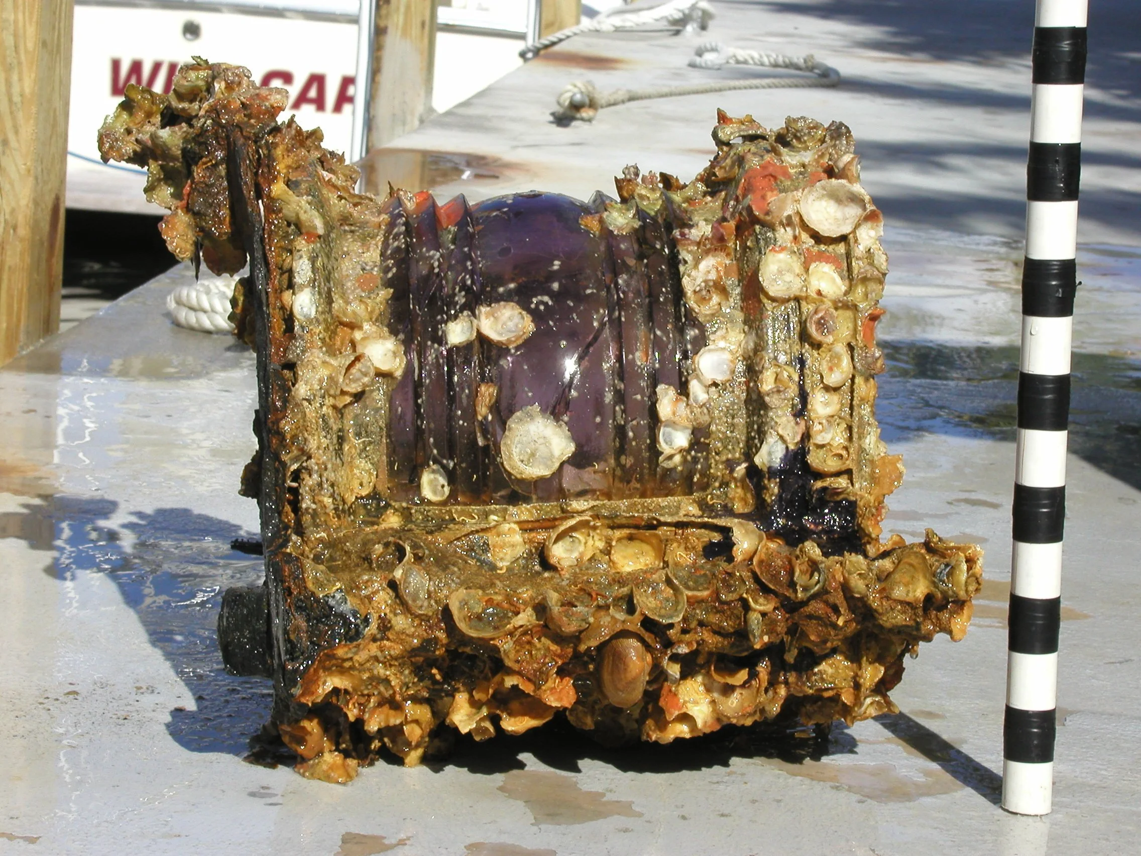 HMCS Canada | Explore Naval Heritage — HMCS Canada Expedition 2025