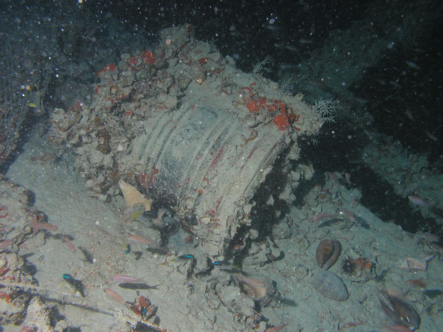 HMCS Canada | Explore Naval Heritage — HMCS Canada Expedition 2025