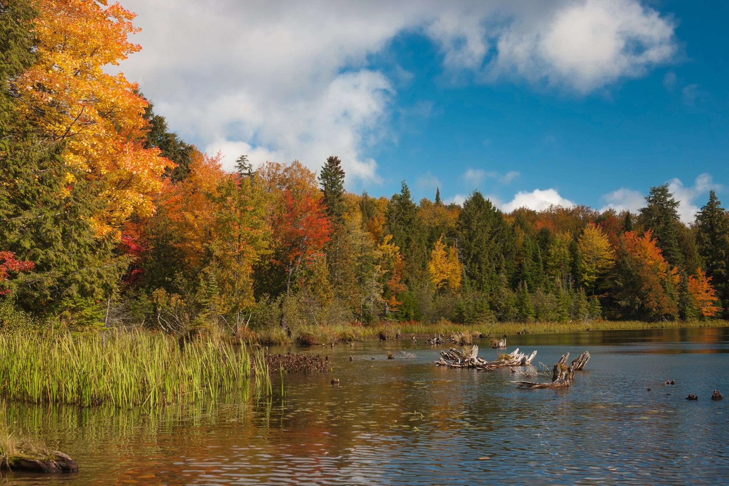 News & Events — Gogebic, Iron & Vilas Network