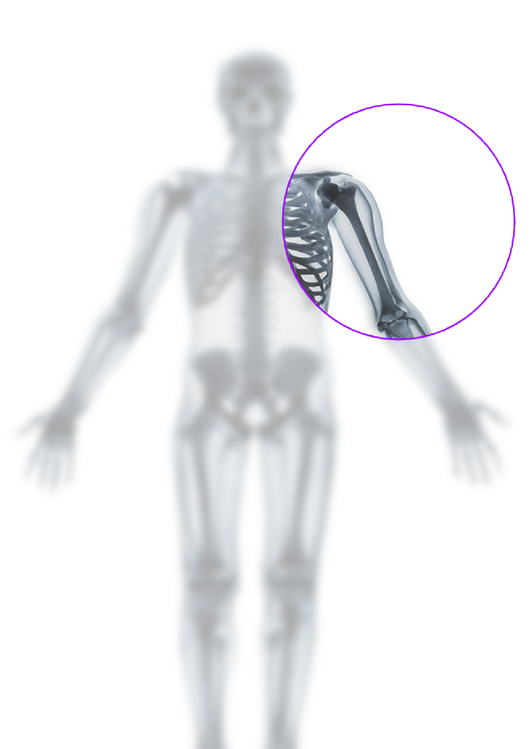 HOPPR | Accelerating AI Development in Medical Imaging