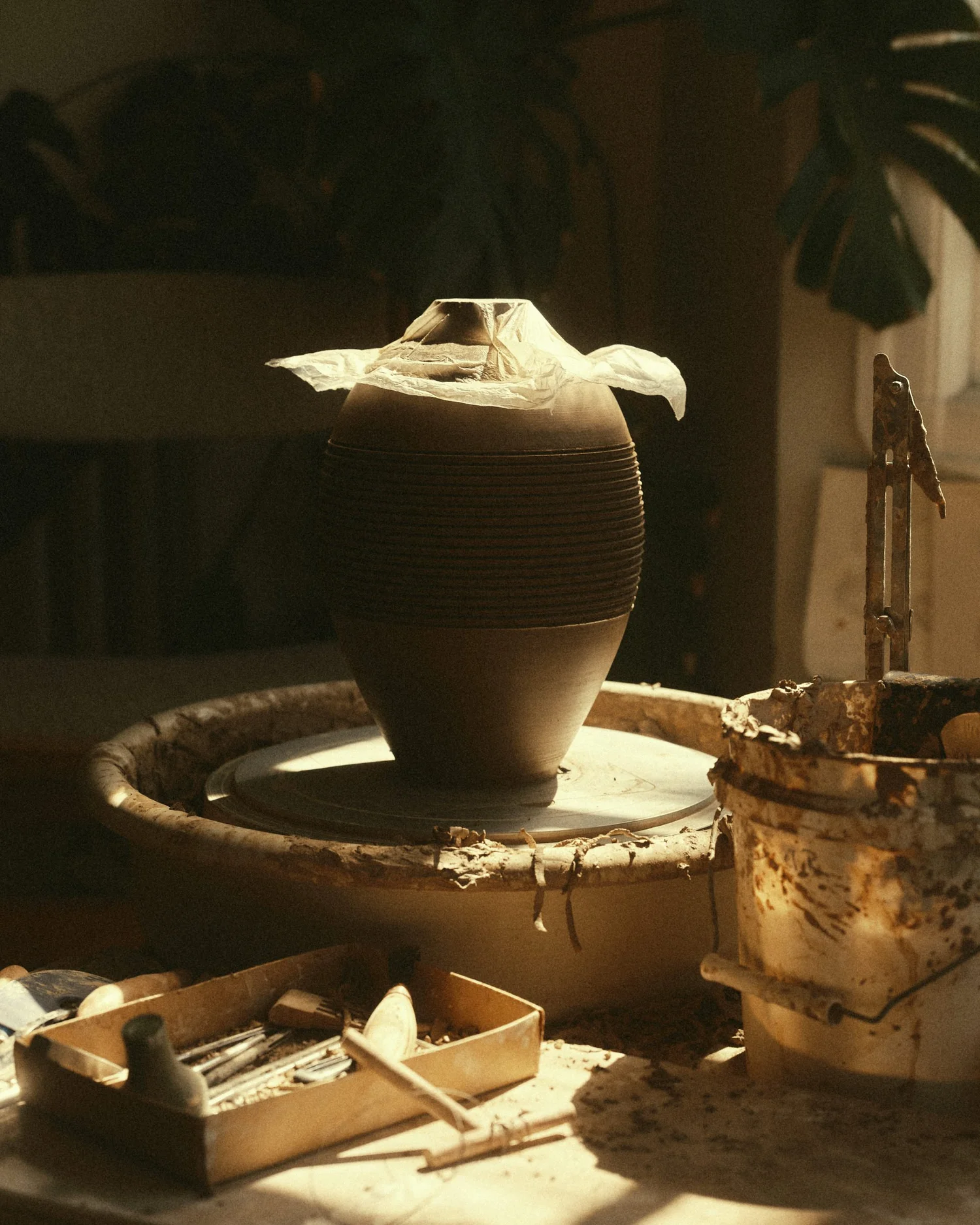 Gallery — Dan Mack Studio