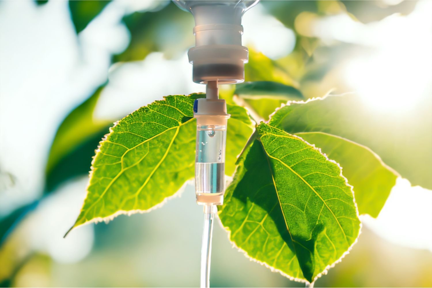 What’s in an IV Drip? Breaking Down the Ingredients and Benefits ...