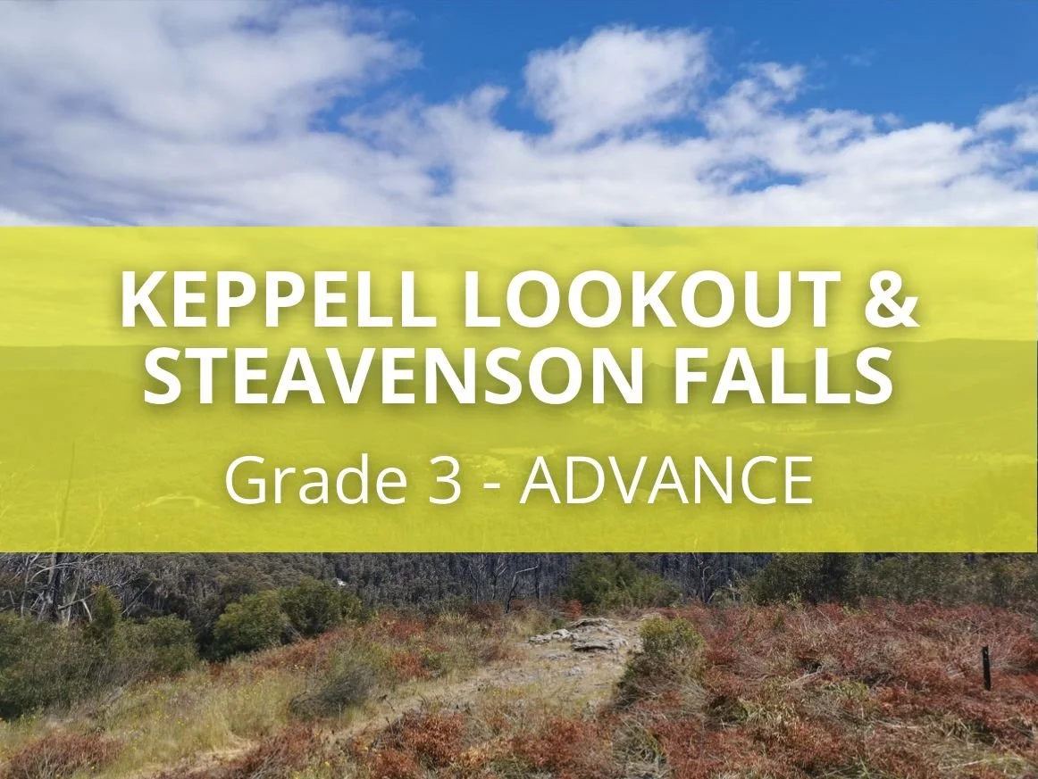 Keppell Lookout & Steavenson Falls day hike near Melbourne — Hike Tribe