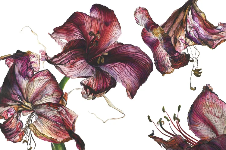 British artist Rosie Sanders is internationally celebrated for her ...