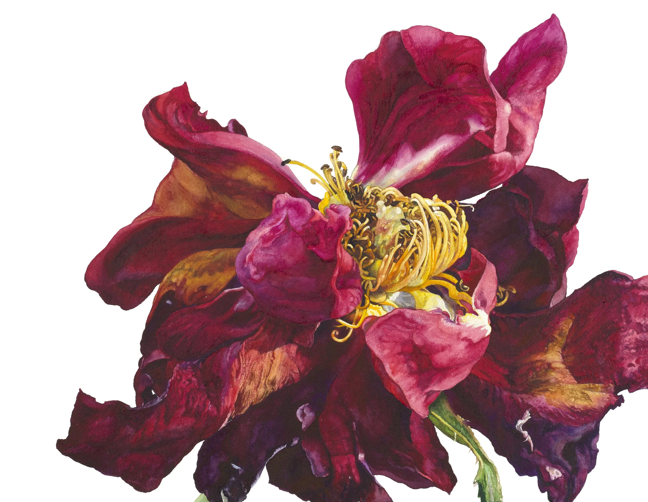 British artist Rosie Sanders is internationally celebrated for her ...