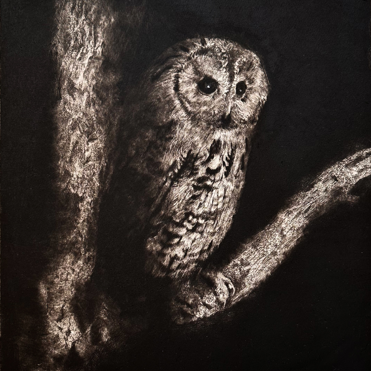 Store 2 — Rosie Sanders