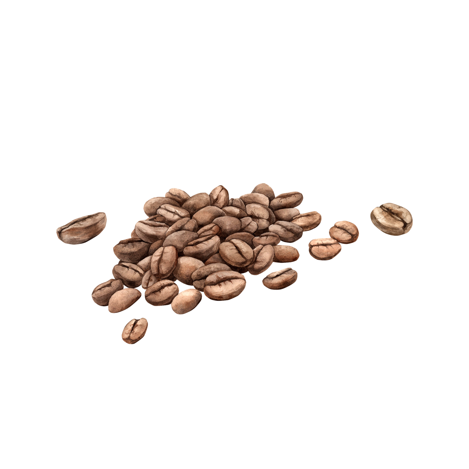Baci Coffee House | Authentic Italian Coffee and Pastries in San Diego