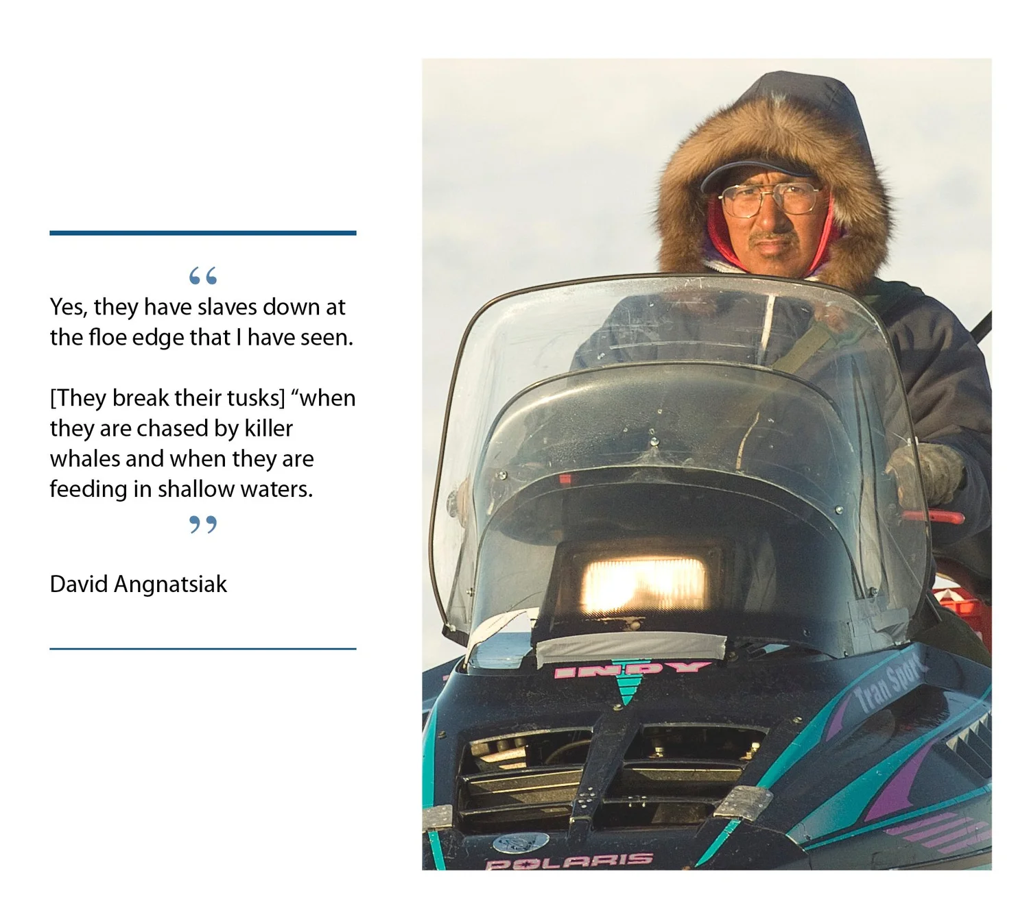 Inuits and the Narwhal: Traditions, Behavior & Survival — Narwhal.org