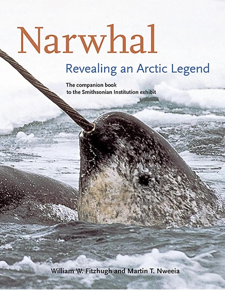 Discover the Narwhal: Arctic Whale with a Legendary Tusk | Narwhal.org