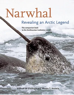 Narwhals Explained: Science, Behavior, and Survival in the Arctic