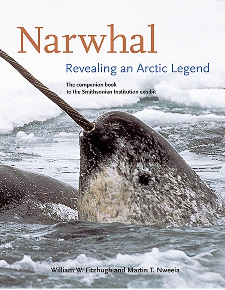 Discover the Narwhal: Arctic Whale with a Legendary Tusk | Narwhal.org