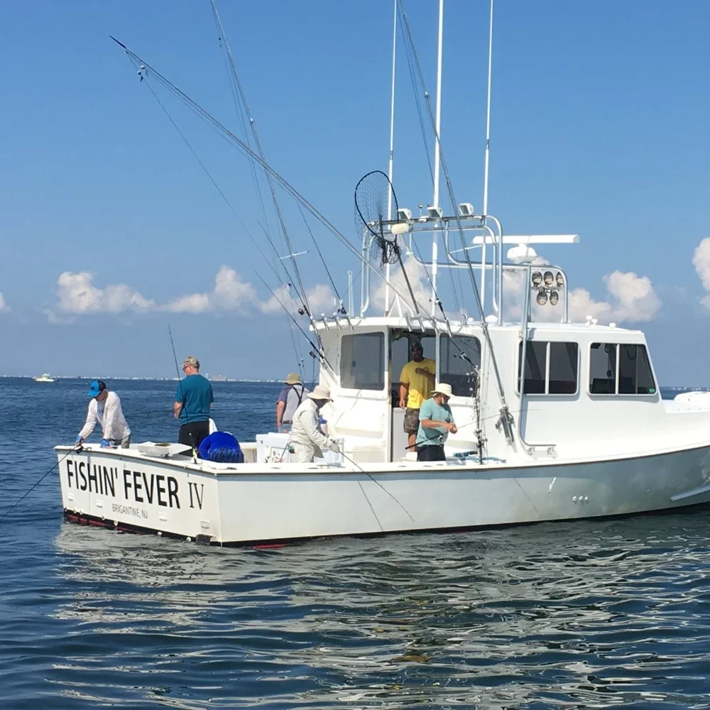 Fishin' Fever Sportfishing Charters | Cape May NJ