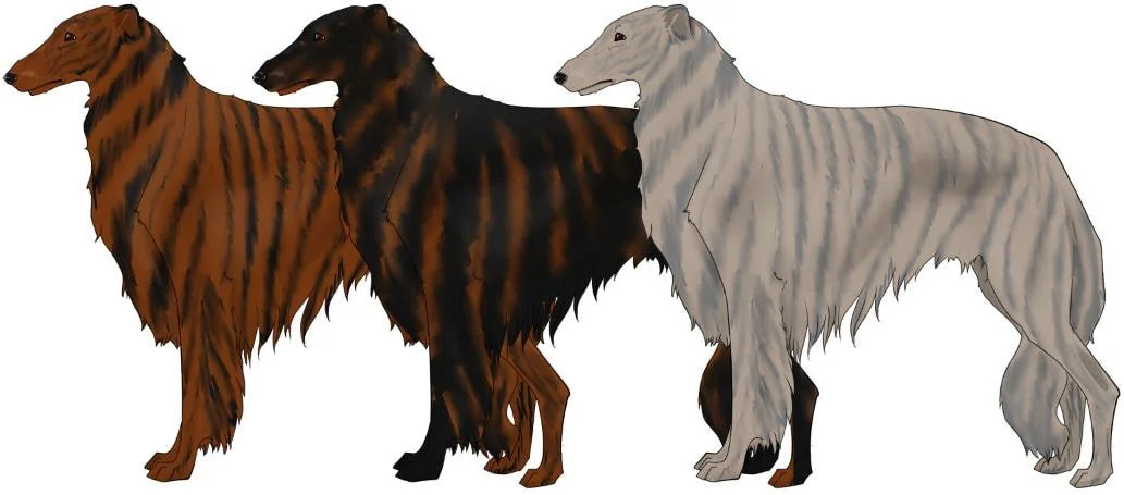 Coat Color Genetics of Borzoi and Silken Windhounds