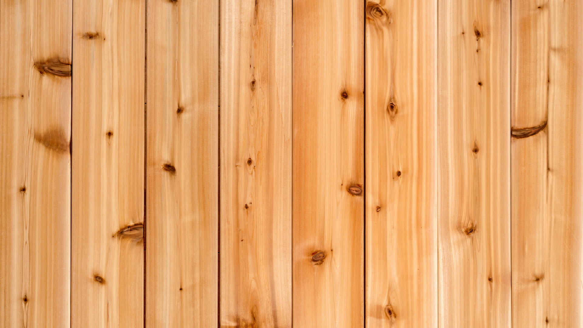 Cedar Bath — Flora Sanctuary & Wellness Centre