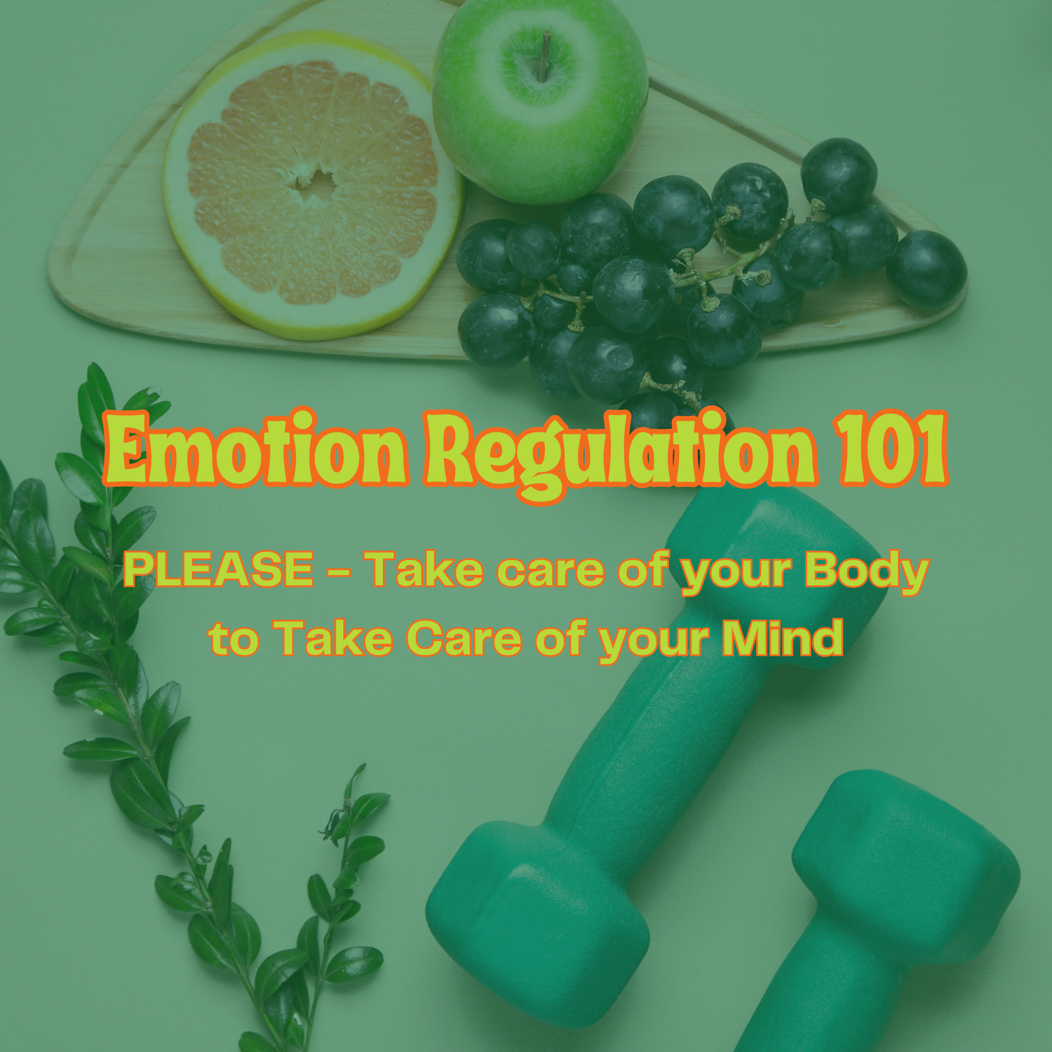 Emotion Regulation 101 - How to PLEASE Your Body and Mind for Better ...