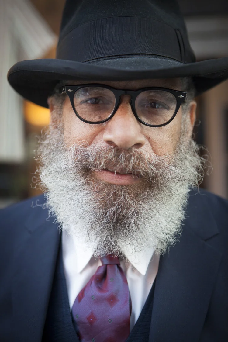 The Dandy Lion Project