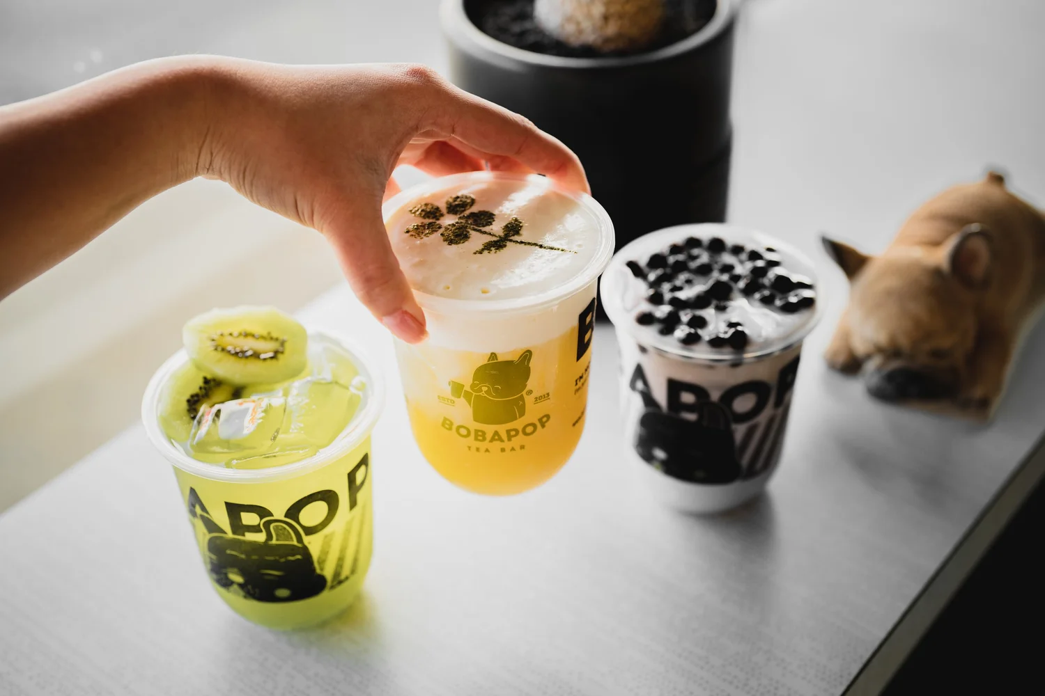 BOBAPOP Tea Bar