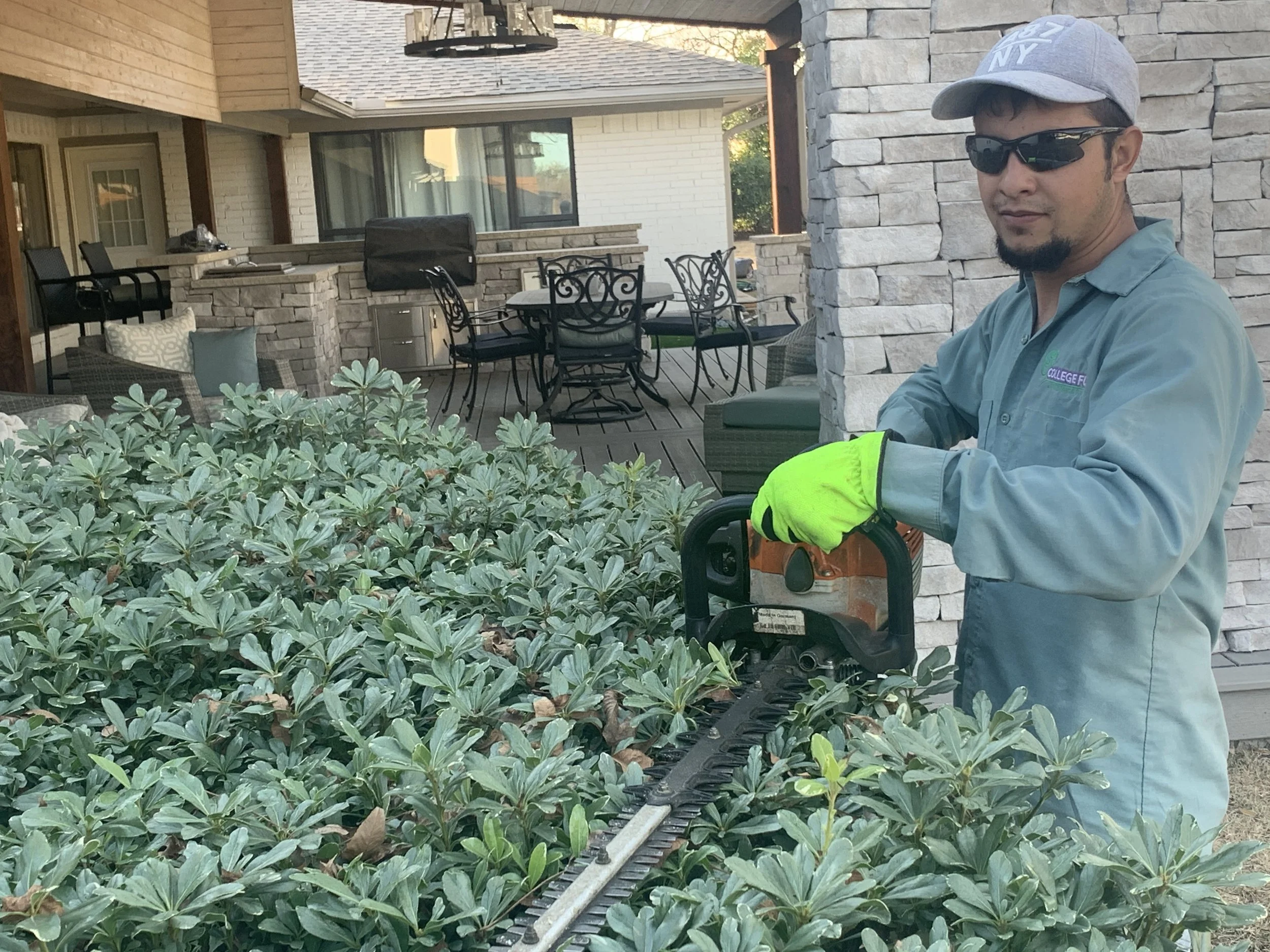 Tree And Shrub Trimming Services In Plano TX | Tree Trim Service