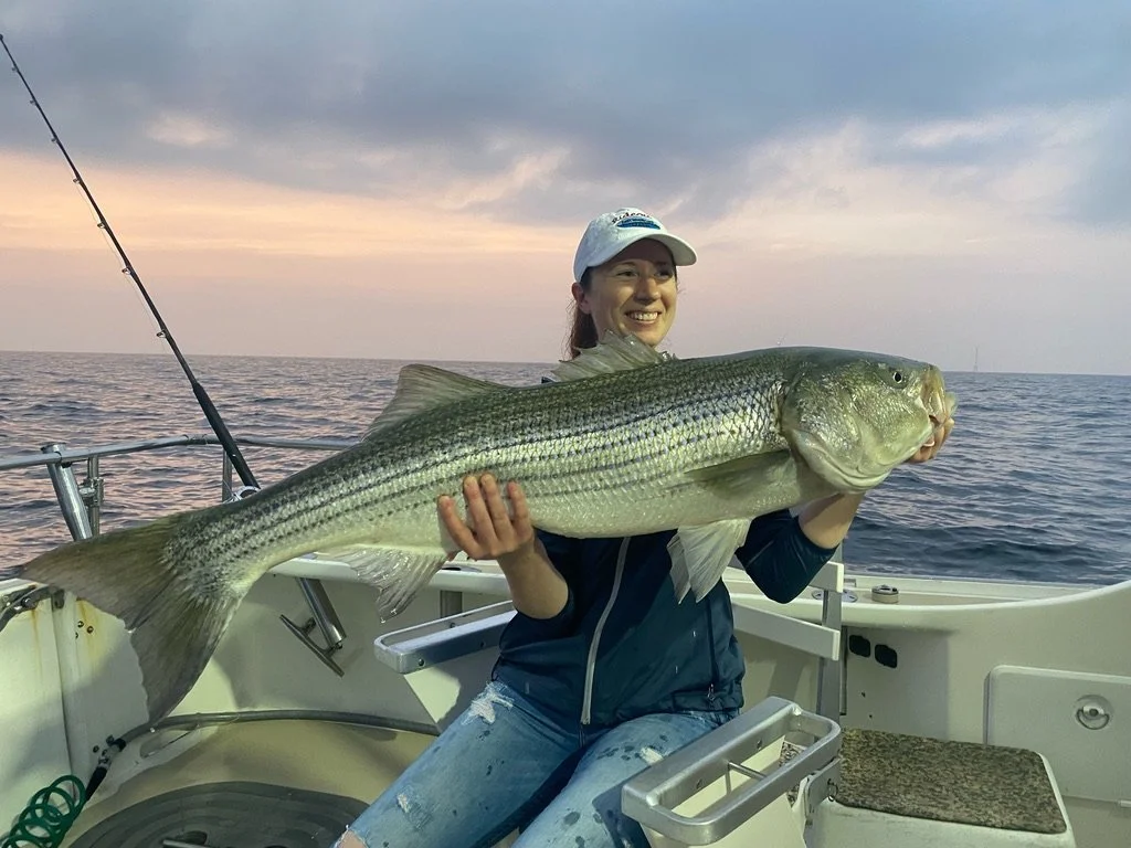 STRIPER FISHING — C-Devil II Sportfishing