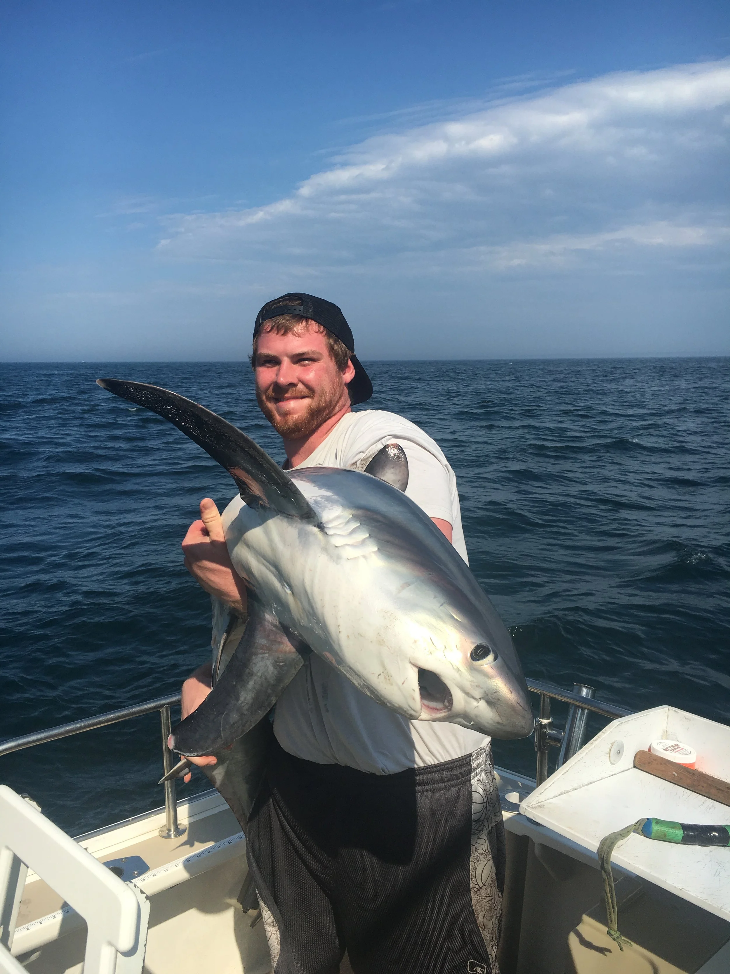 SHARK FISHING — C-Devil II Sportfishing