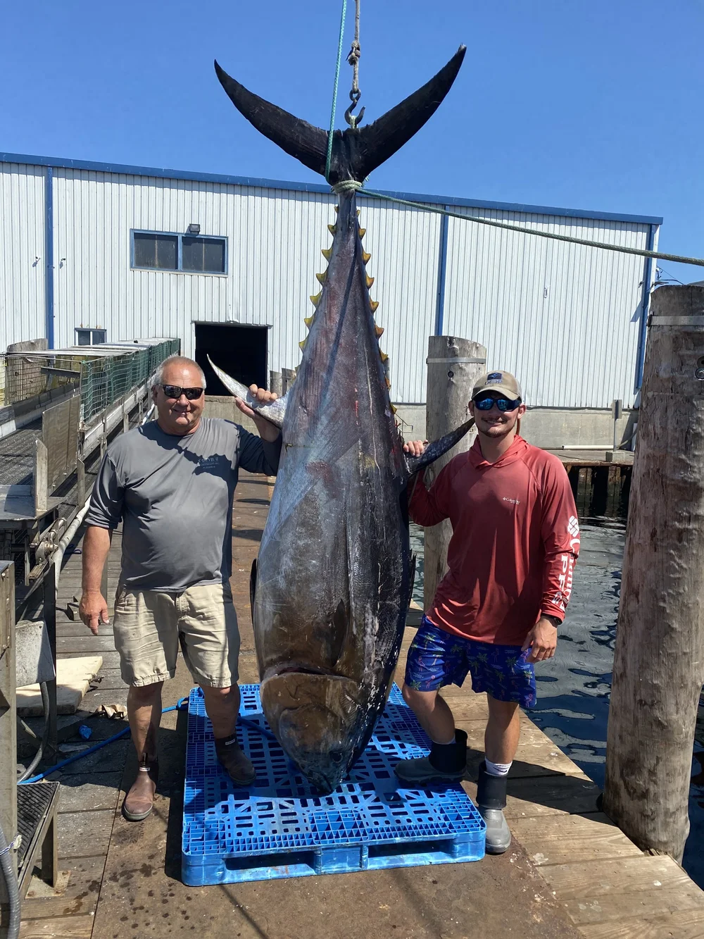 TUNA FISHING — C-Devil II Sportfishing