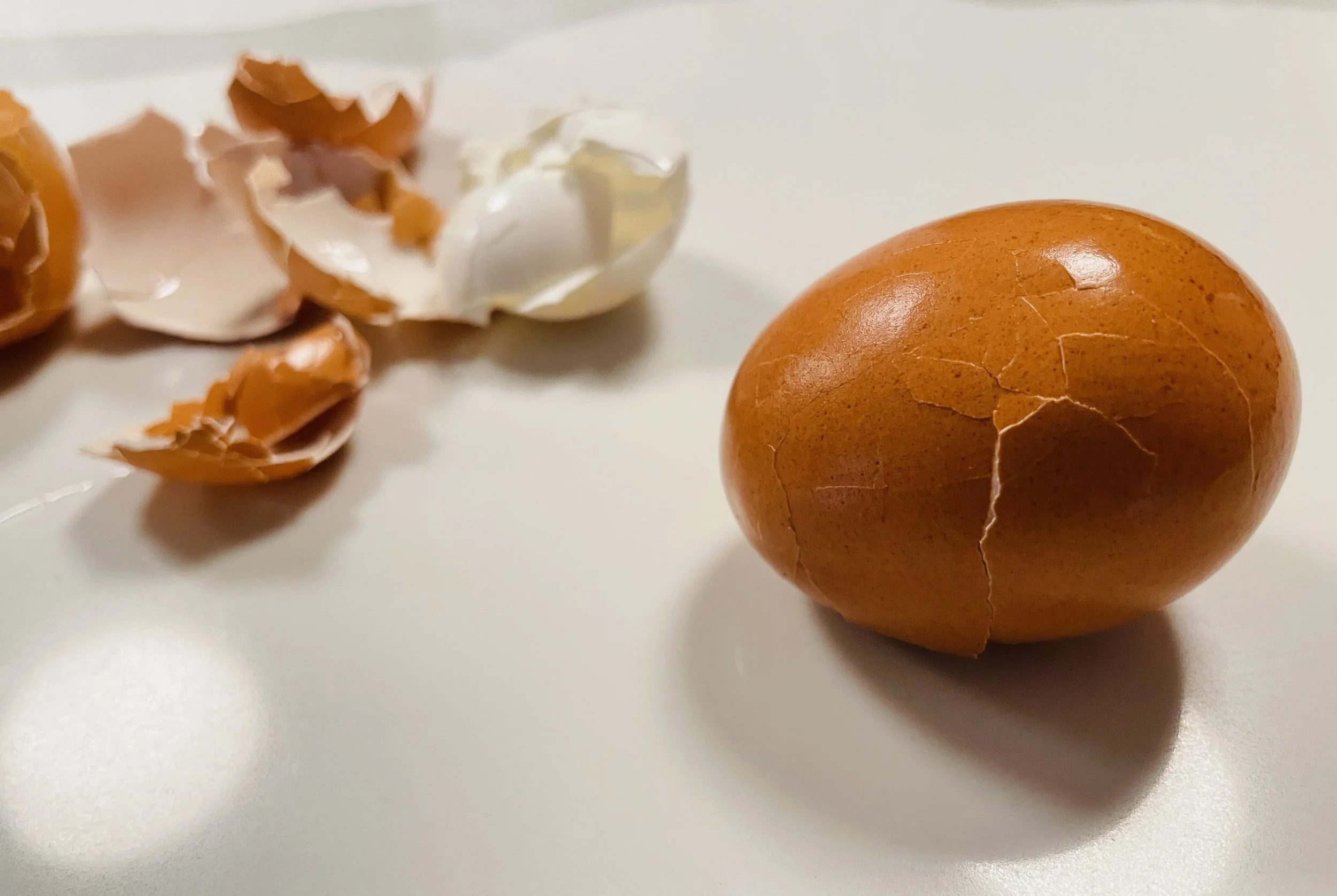 Cracking Shells — Julie Heaton