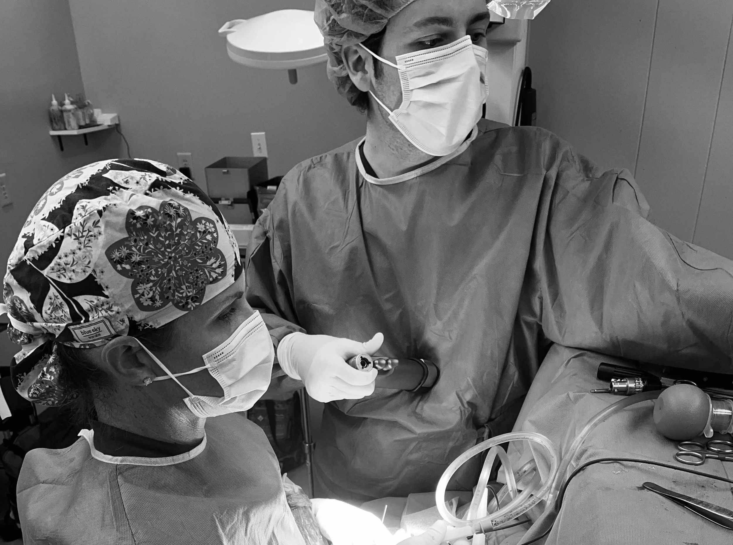 Wellspring Veterinary Care - Veterinary Surgery in Chattanooga