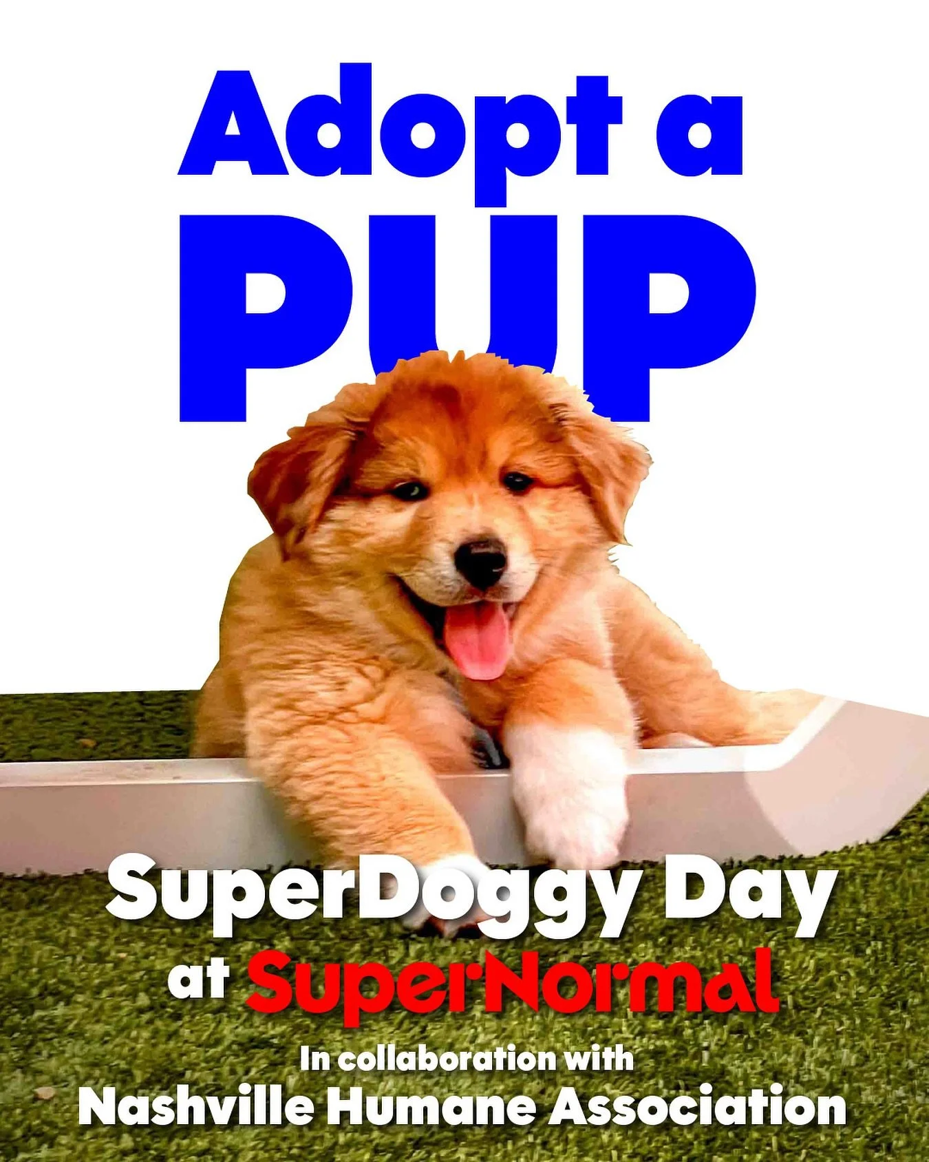 Menu — SuperNormal