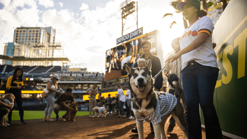 Bark At The Park | Dog Friendly Padres Baseball Games in San Diego ...