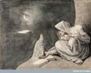 Mandrakes, from Mythology to Museum Collectable — Canadian Museum of ...
