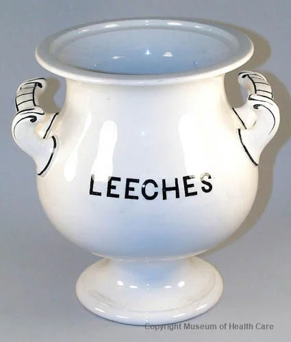 Medicinal Leeches: Still A Bloody Good Idea — Canadian Museum of Health ...