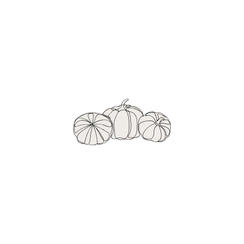 NoCo Pumpkin Co. | Northern Colorado's Pumpkin Delivery + Design