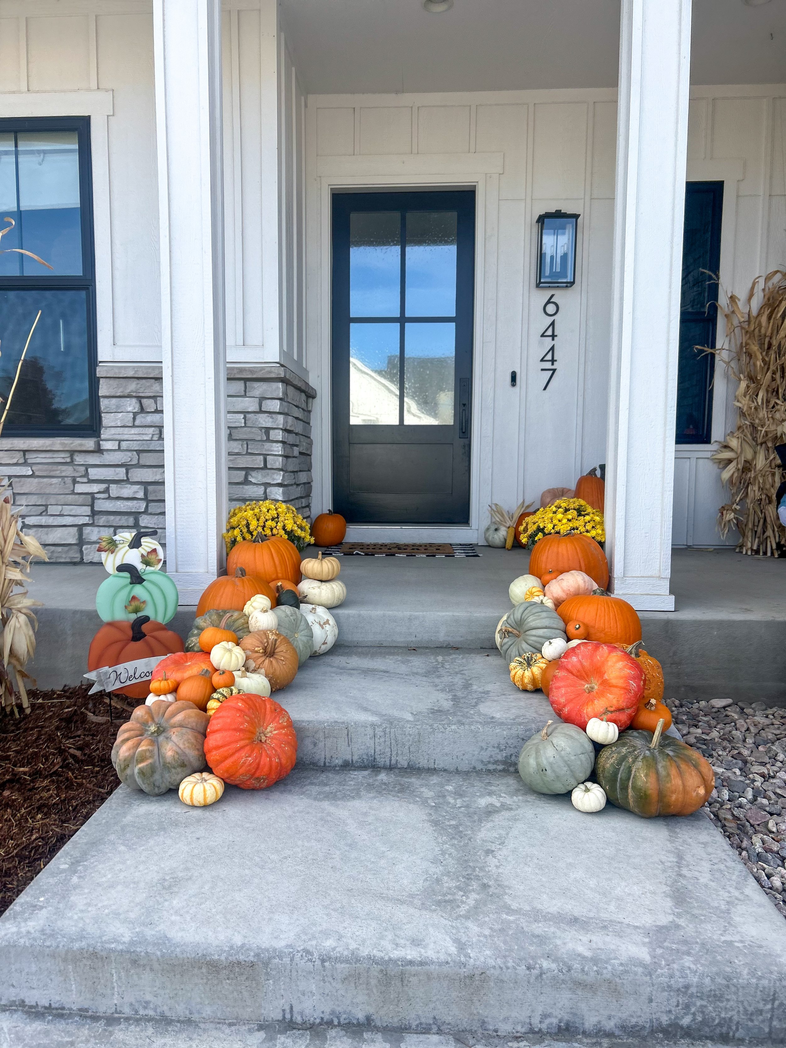 NoCo Pumpkin Co. | Northern Colorado's Pumpkin Delivery + Design